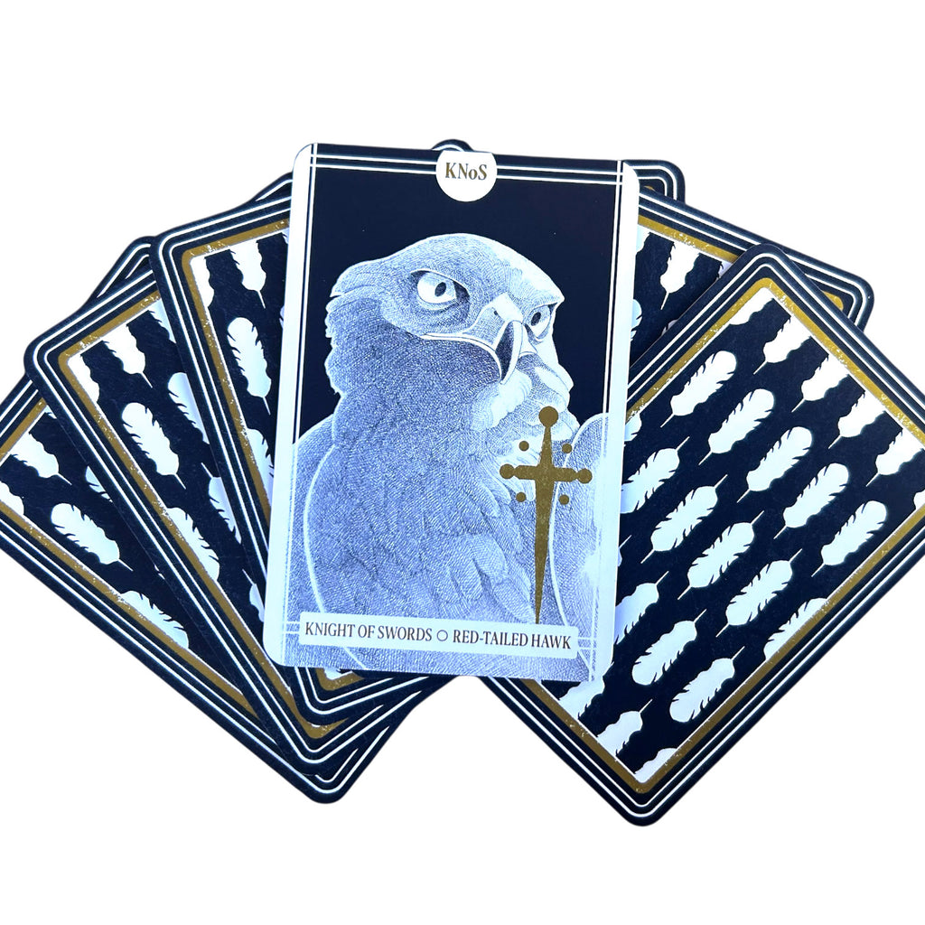 Avian Tarot – La Panthère Studio