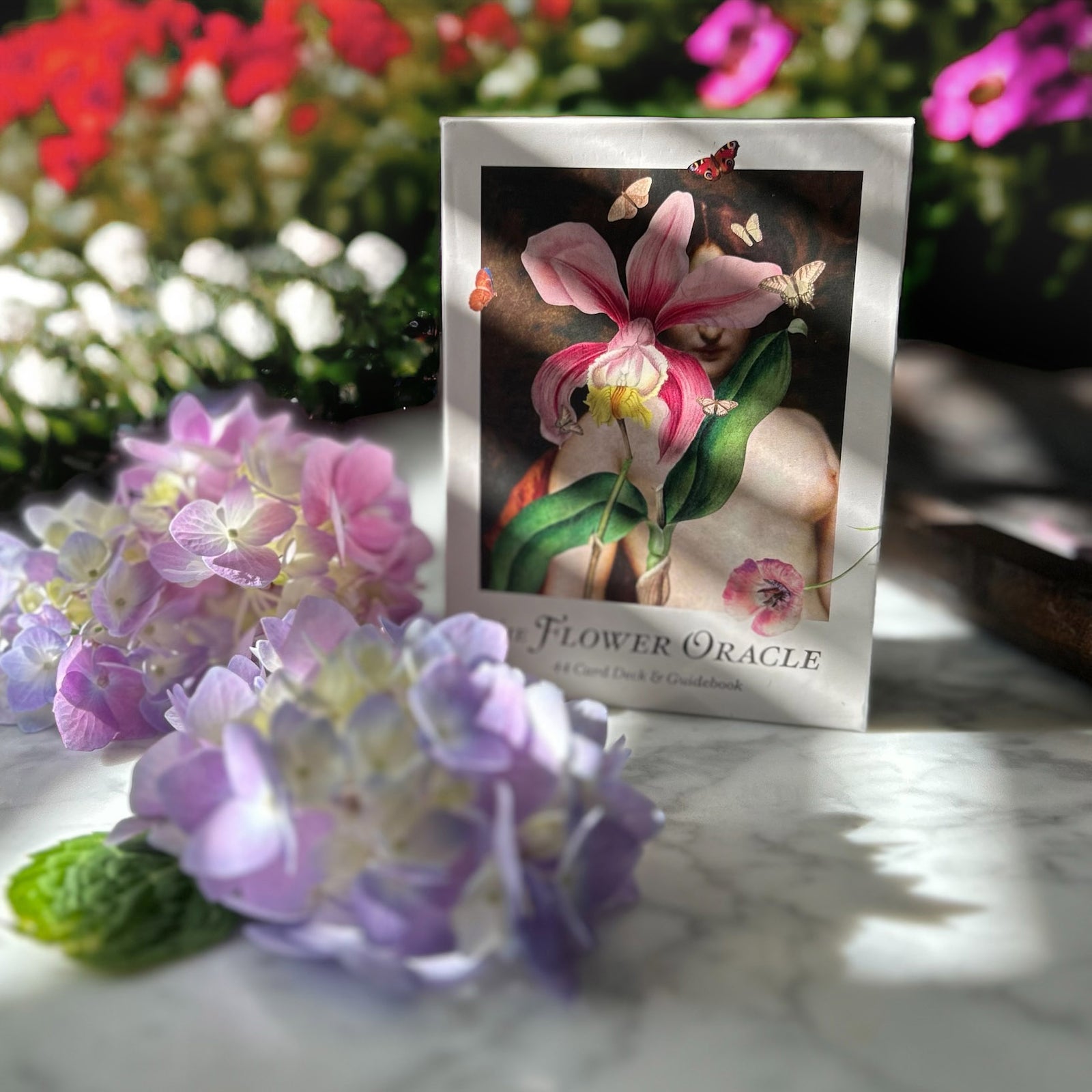 Flower Oracle – La Panthère Studio