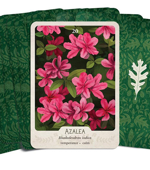 The Southern Botanic Oracle – La Panthère Studio